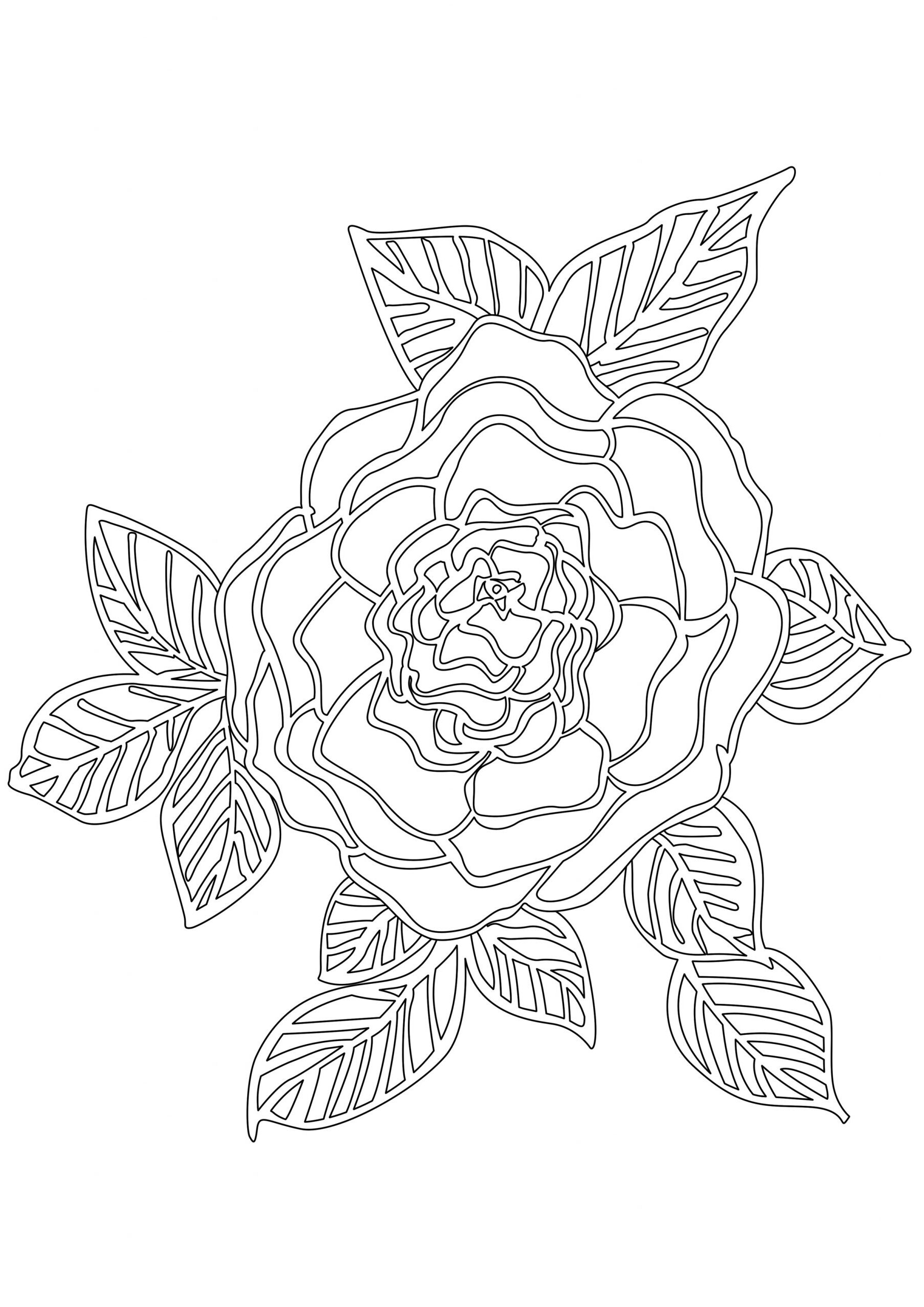Batik Coloring Pages Coloring Pages